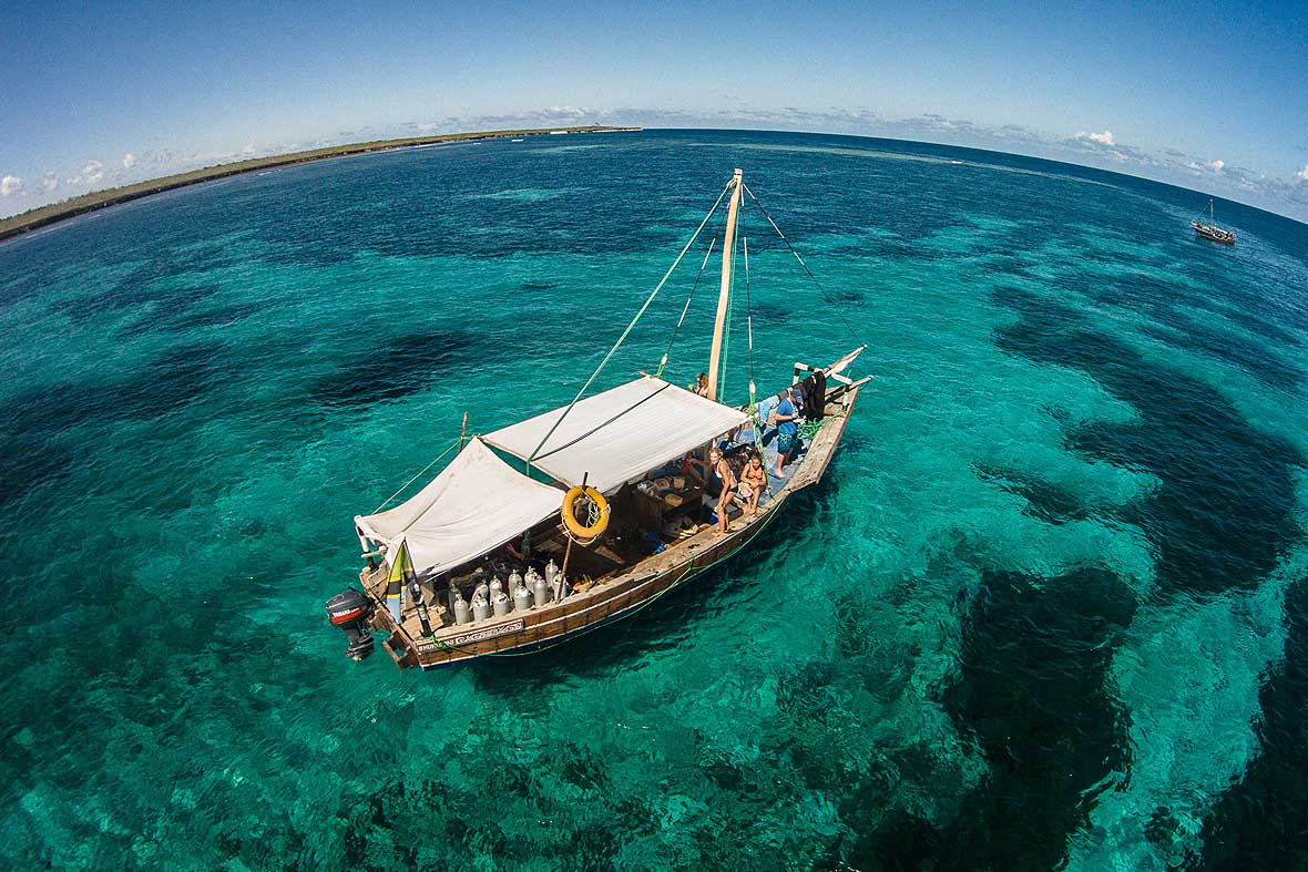 Tauchen Mafia Island, Tansania - toller Tauchspot mit Kombi Safari