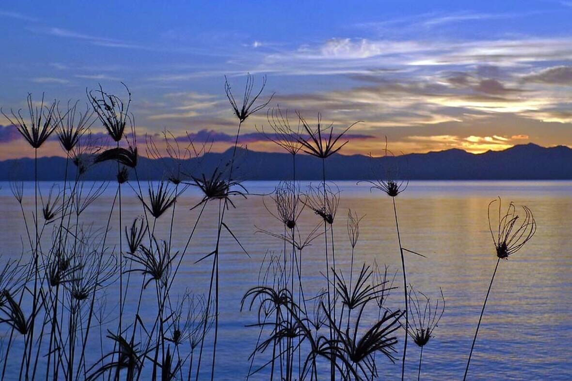 Philippinen - Romblon - Romblon - The Three P Beach Resort