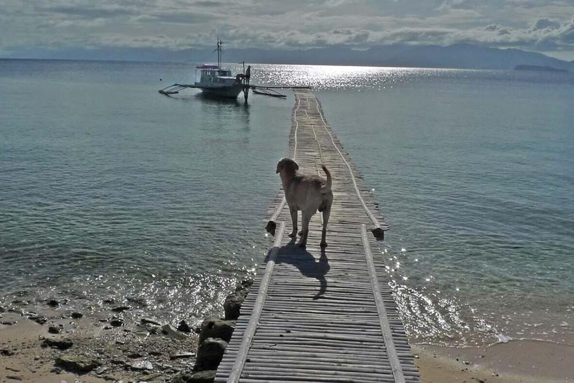 Philippinen - Romblon - Romblon - The Three P Beach Resort